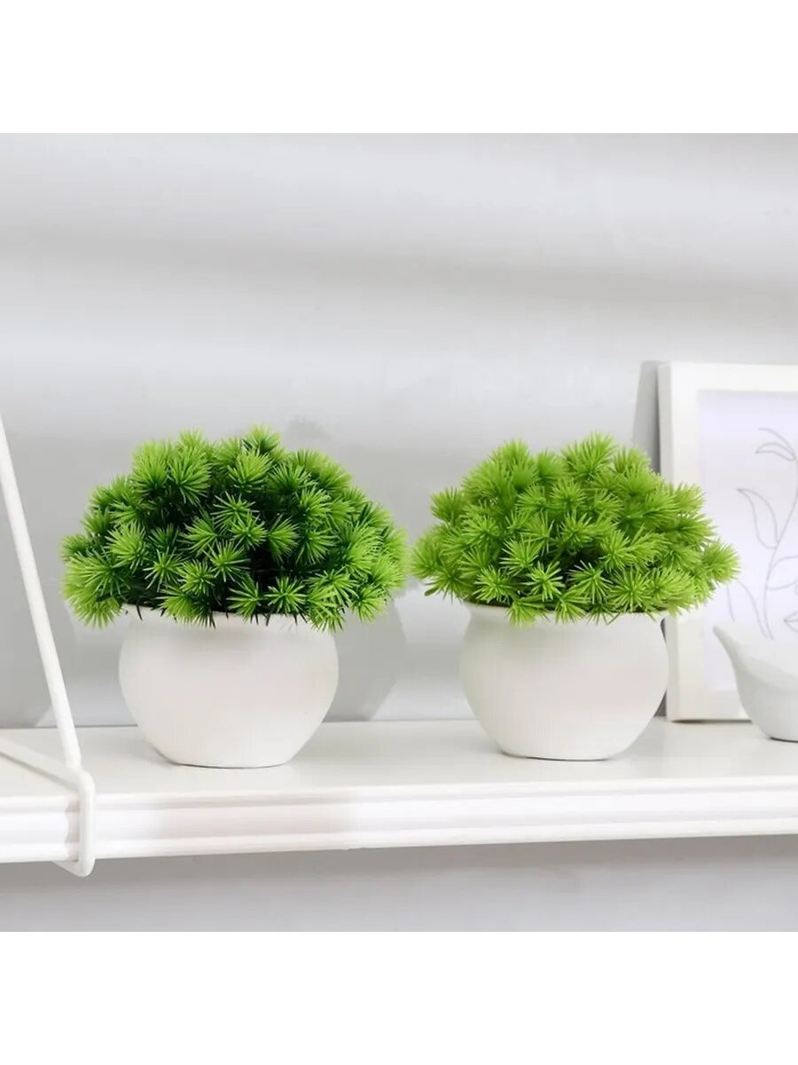 Очаровательный мини-бонсай в стильном горшке