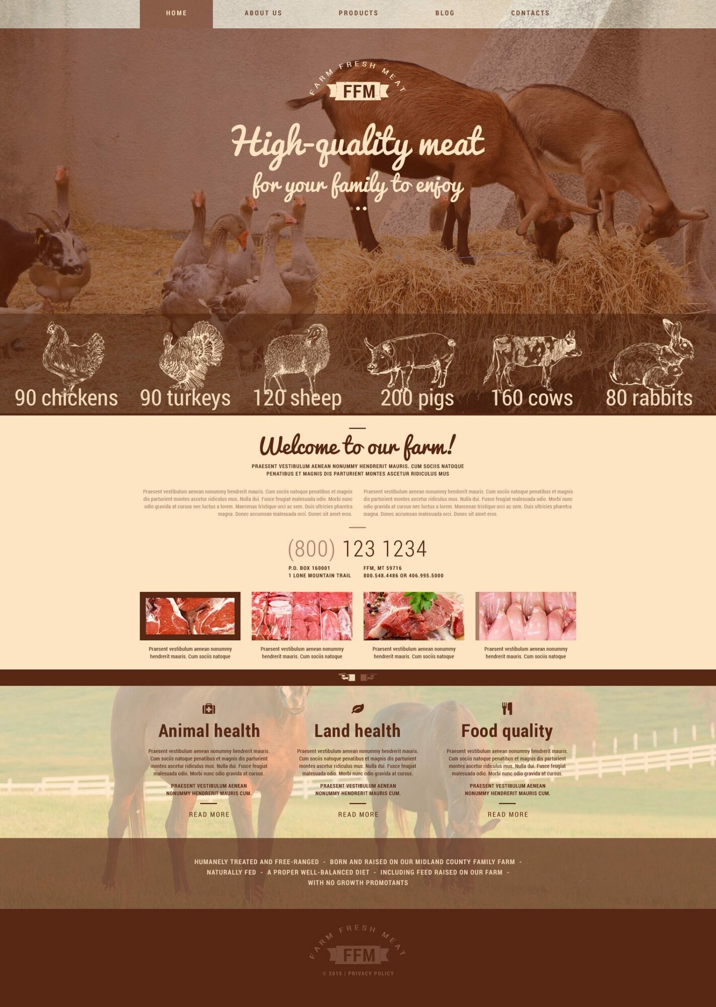 Подарочный сертификат на Шаблон для сайта Вордпресс с демоконтентом Farm Fresh Meats WordPress Theme