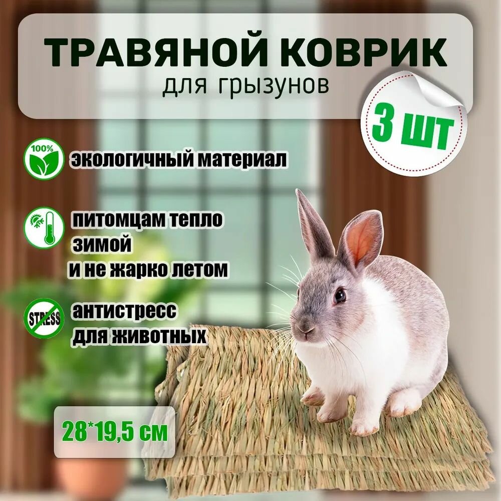 Коврики из соломы, Big Jungle, подстилка для грызунов, игрушки для грызунов и птиц, лежанка в клетку для кролика, сено, 3 шт