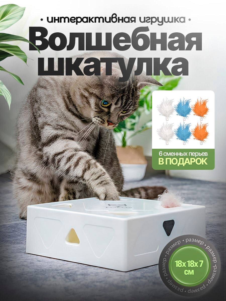 Интерактивная игрушка "Волшебная шкатулка", для самостоятельных игр, для кошек, пластик