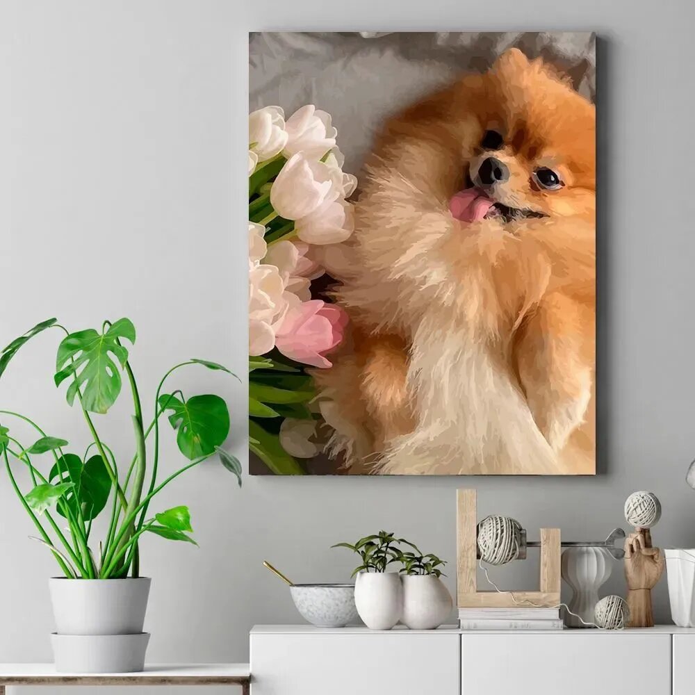 Алмазная Мозаика "Шпиц" 40х50 См Алмазная Вышивка / Картина Стразами Подарков / Украшения