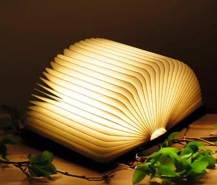 Светильник-ночник FLARX аккумуляторный с кабелем USB, в форме книги