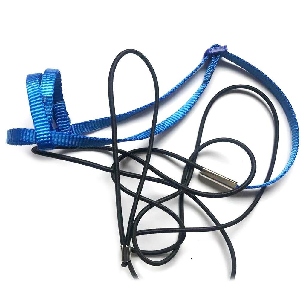 Шлейка с поводком для попугая на улицу, Королевский синий - M