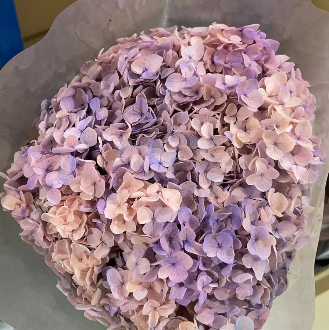 Аранжировщик цветов, одиночная ветка, подарок Анны, гортензия, сушеный цветок, вечная гортензия, домашний декор, цветочная композиция, многоцветная