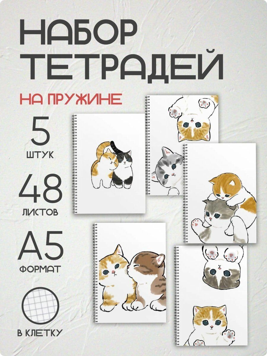 Тетради в клетку 48 листов на пружине 5 штук А5 Милые Котики