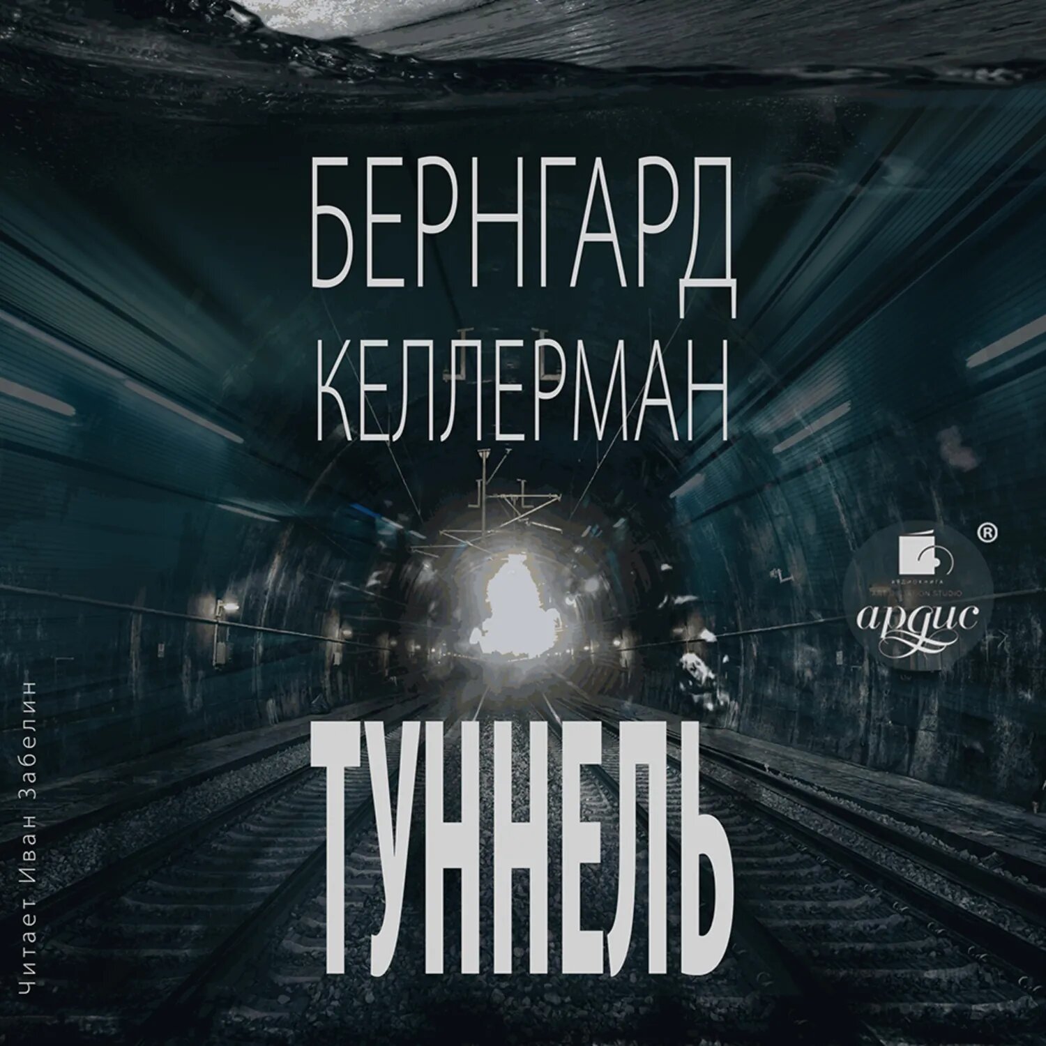 Туннель [Аудиокнига]