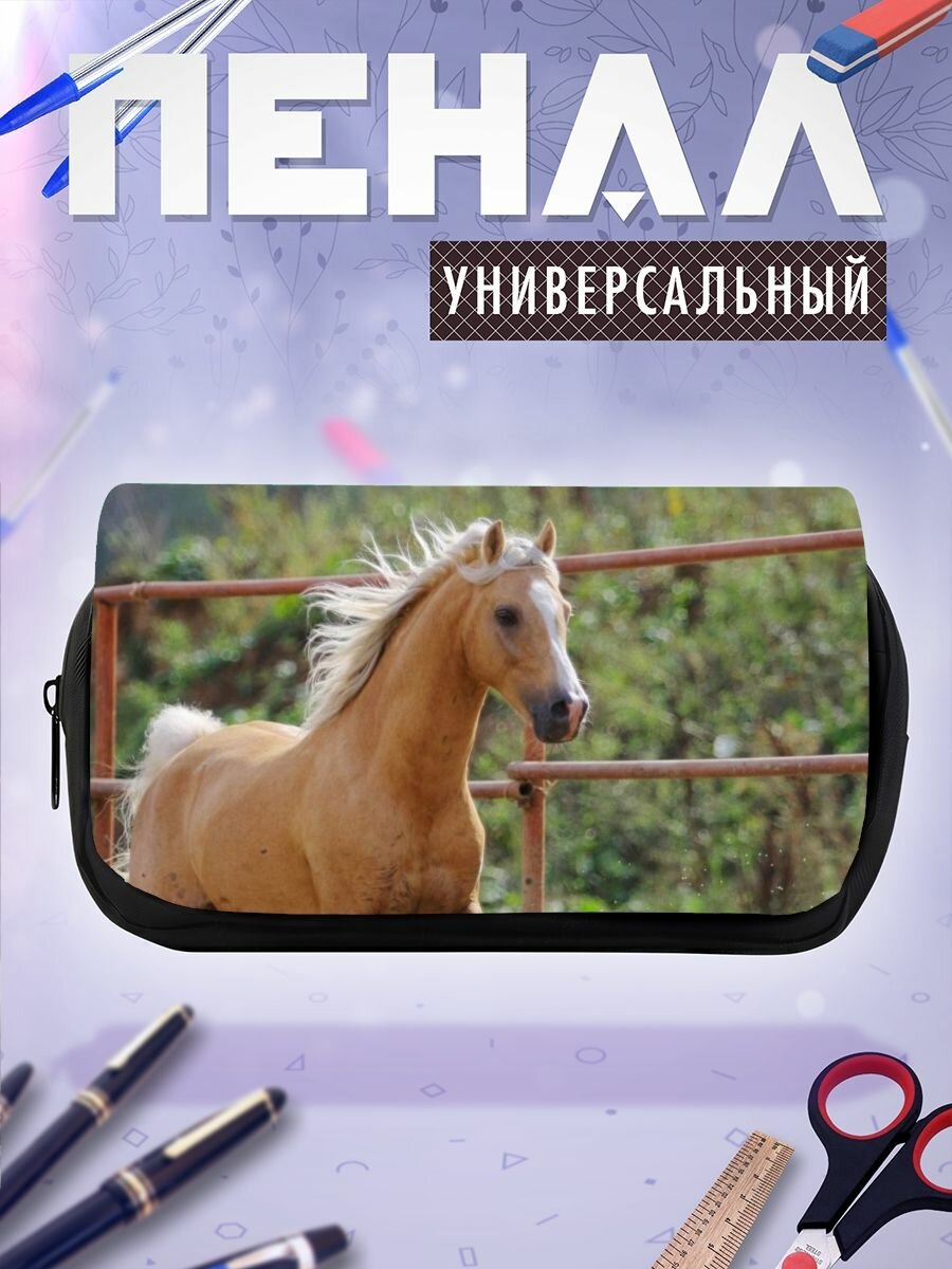 Школьный пенал паломино галоп