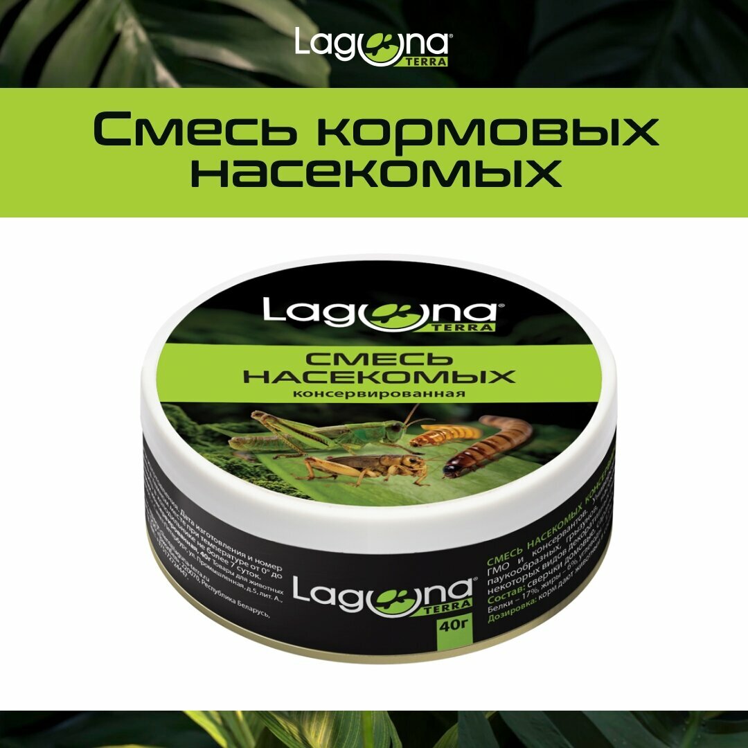 Корм для рептилий и грызунов Смесь насекомых консервированная, бренд Laguna TERRA, 40г