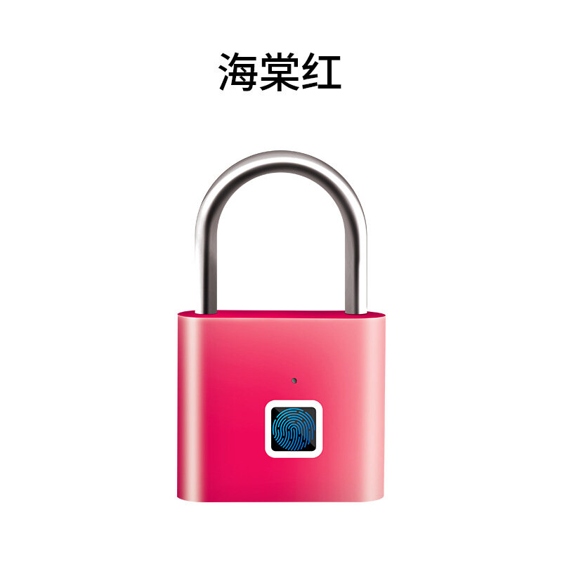 Кросс-бордерный популярный замок из цинкового сплава для почтового ящика, гардероба, умный замок для шкафа сотрудника, железной двери, шкафа в спортзале, замок с отпечатком пальца