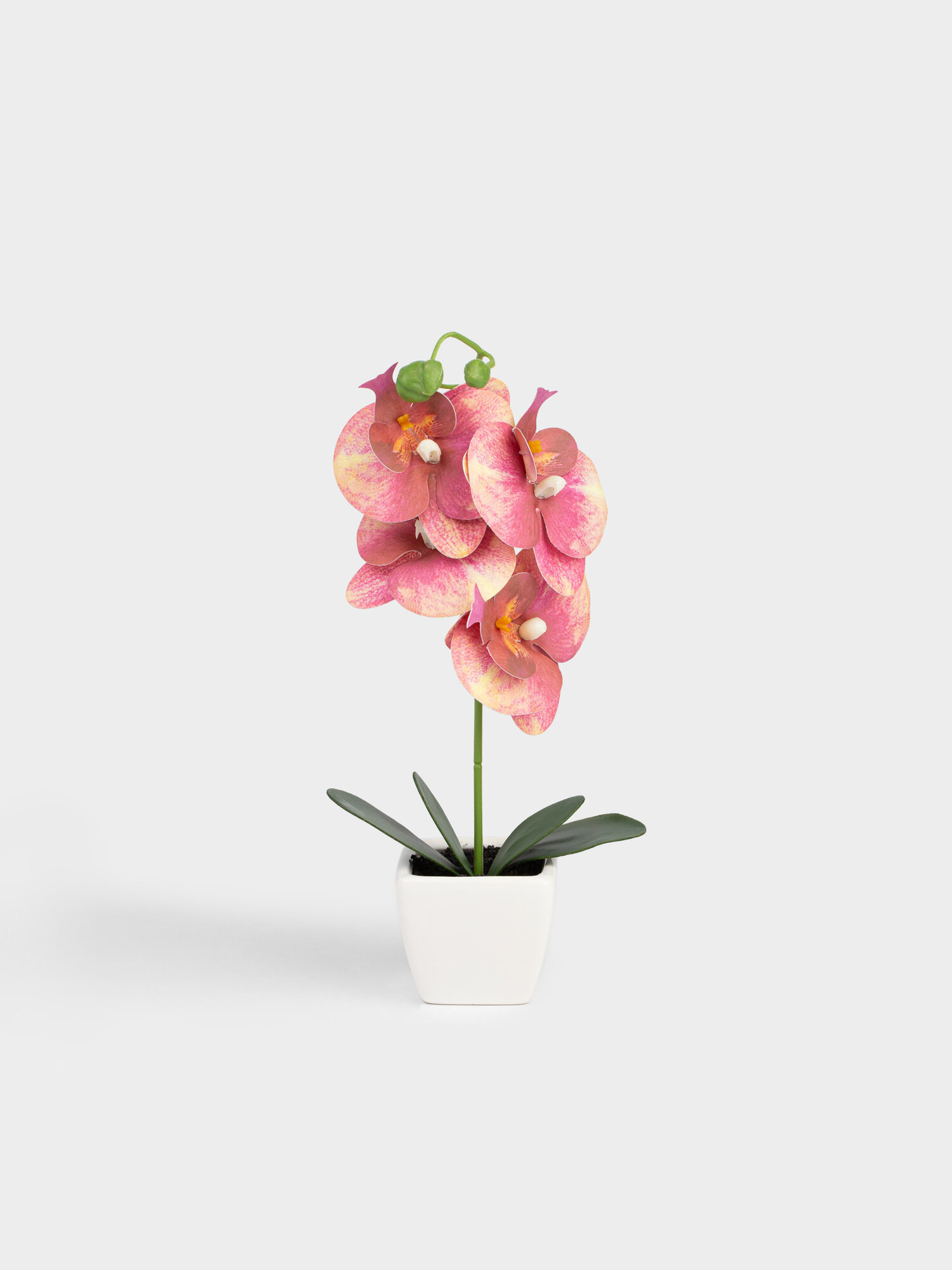 Растение искусственное, 34 см, в горшке, ТПЭ/керамика, Красная орхидея, Orchid, Kuchenland