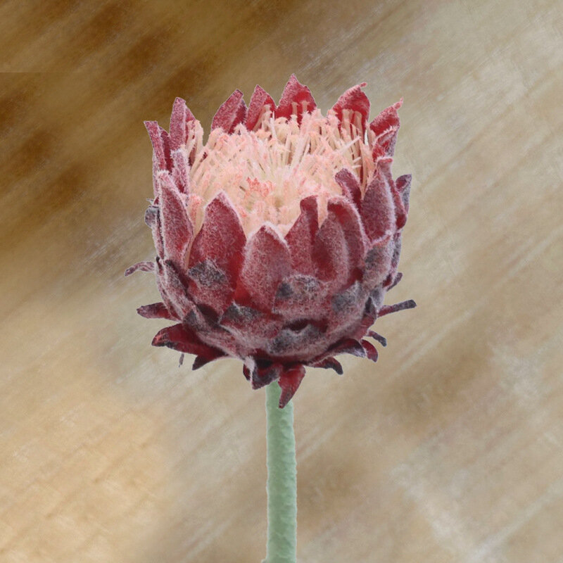 Имперский цветок, искусственный цветок, одиночная ветка, нордический чертополох, простое домашнее украшение, свадебный декор, имперский цветок, кросс-бордер, искусственный цветок