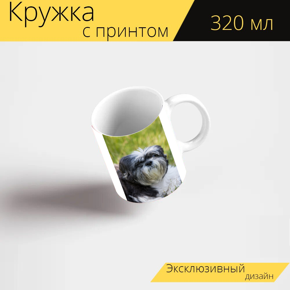 Кружка с рисунком, принтом "Ши тцу, собака, собачий" 320 мл.