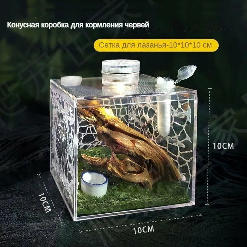 Террариум для пауков с щипцами-капельницами, клетка для улиток, вольер для сверчков, среда обитания древесных тарантулов