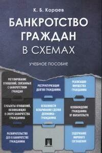 Книга "Банкротство граждан в схемах : учебное пособие"