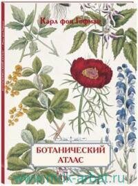 Книга "Ботанический атлас Карла фон Гофмана"