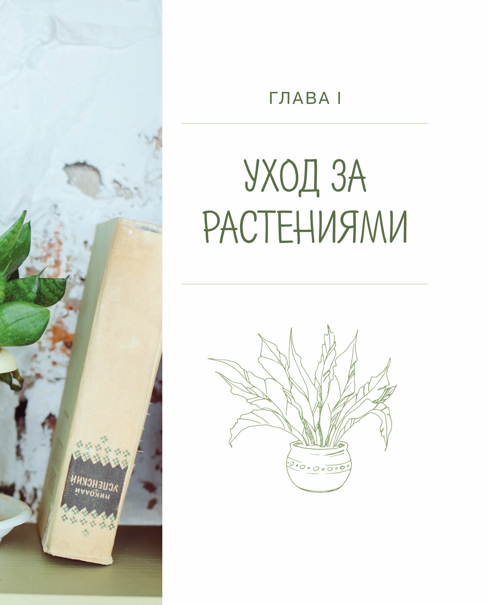 Книга "Цветок в горшке : как посадить комнатные растения и не сесть в лужу"