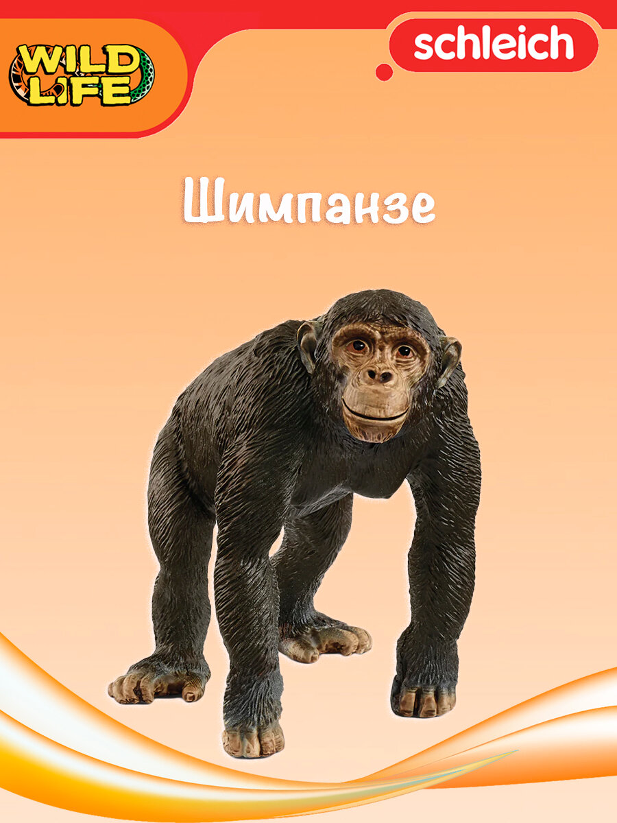 Schleich Wild Life Фигурка Шимпанзе, для детей от 3 лет, 14883