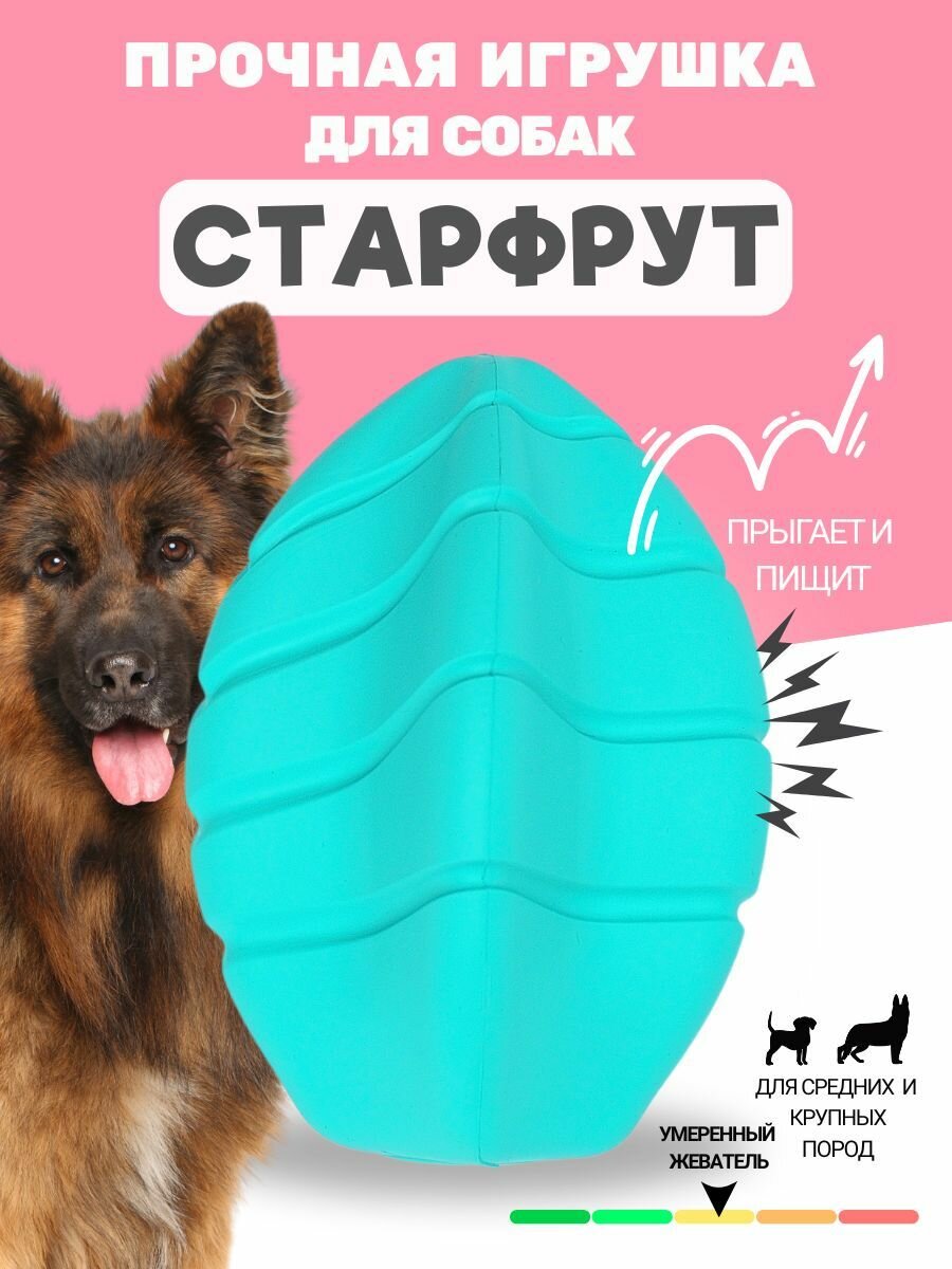 Игрушка для собак крупных и средних пород прочная с пищалкой антивандальный грызак Старфрут OllyPet