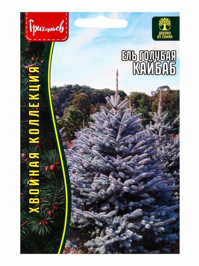 Семена Ель Кайбаб голубая (Kaibab) 15 шт. / 12.29 г.
