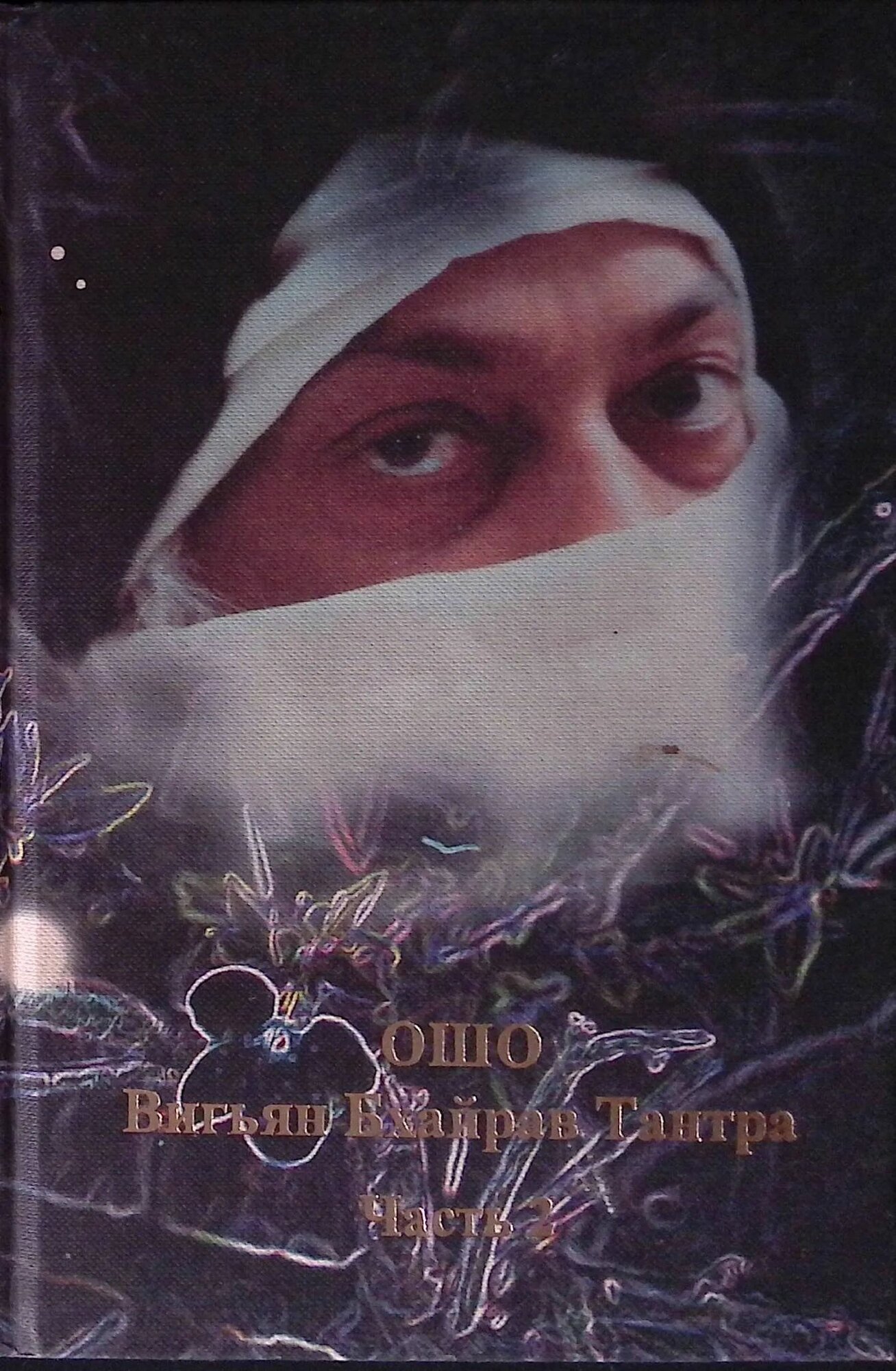 Вигьян Бхайрав Тантра. Часть 2