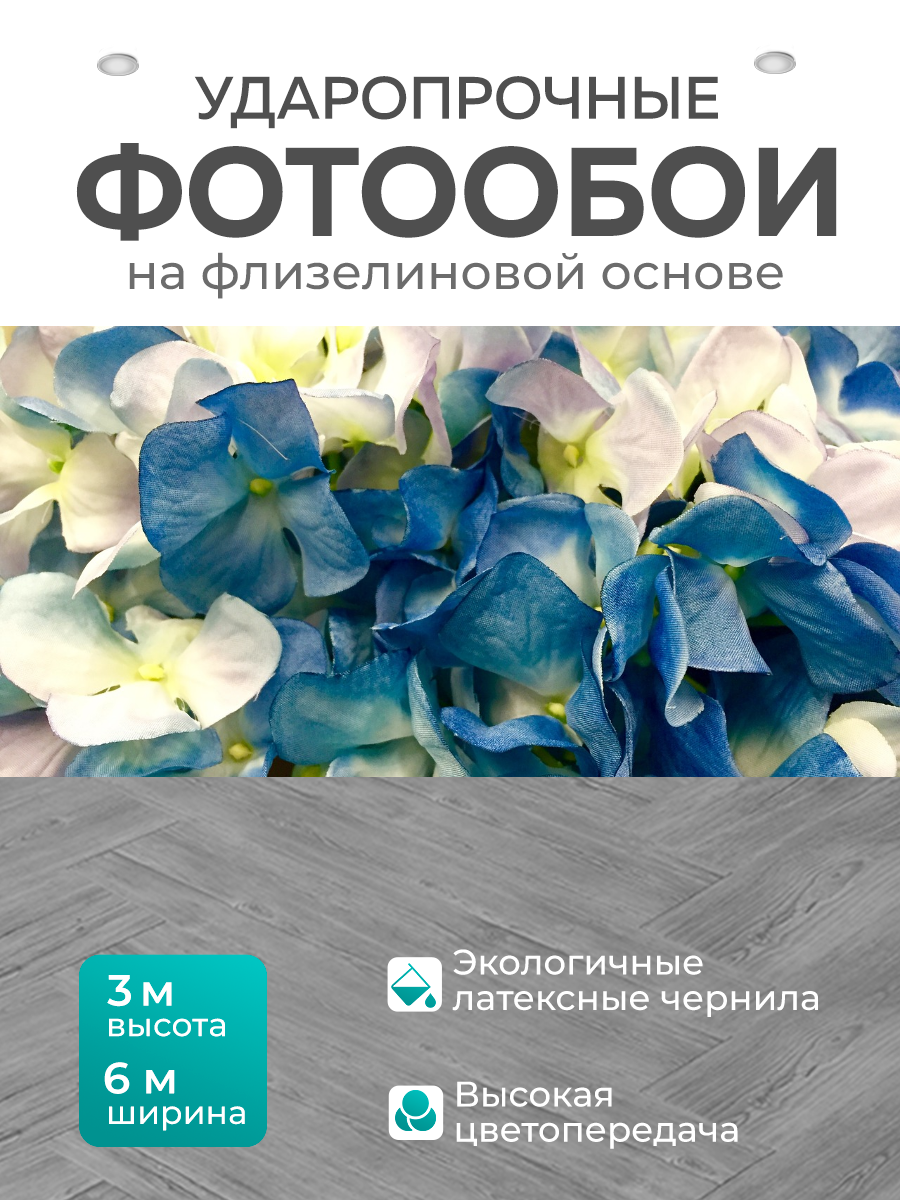 Фотообои моющиеся ударопрочные "Гортензия, синий, белый" 600x300 см. флизелиновые на стену