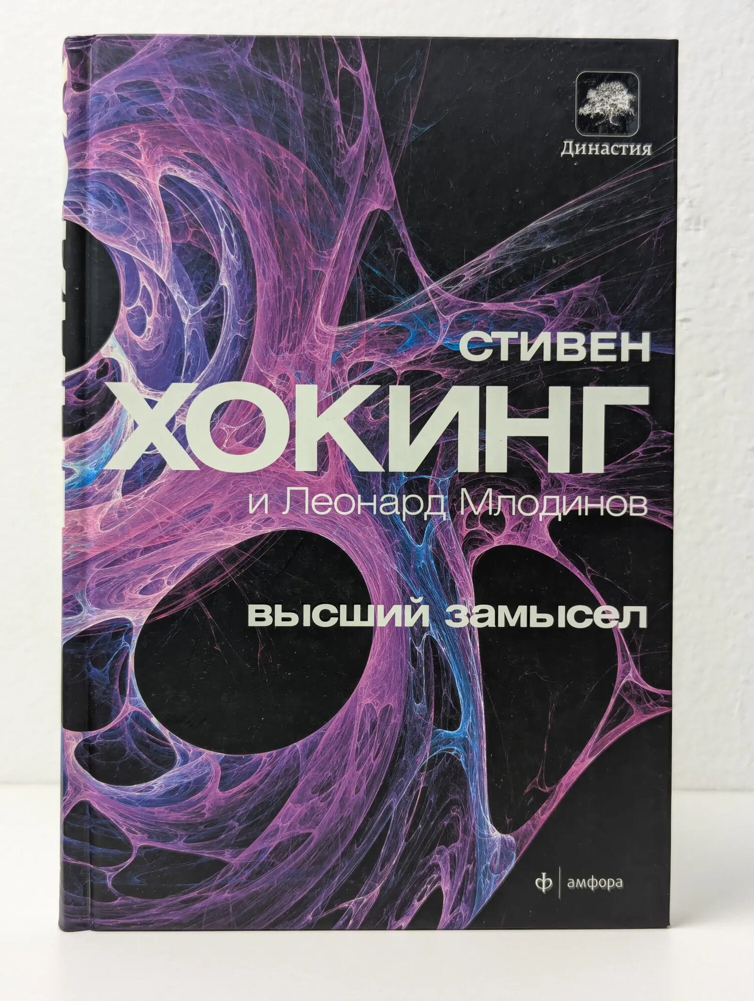 Высший замысел Хокинг Стивен, Млодинов Леонард 2014