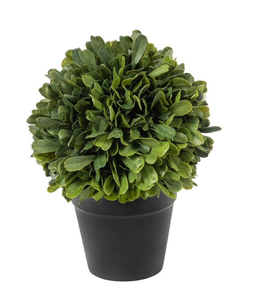 Fiebiger Floristik 108642-800 Цветок декоративный "Самшит", 20 см