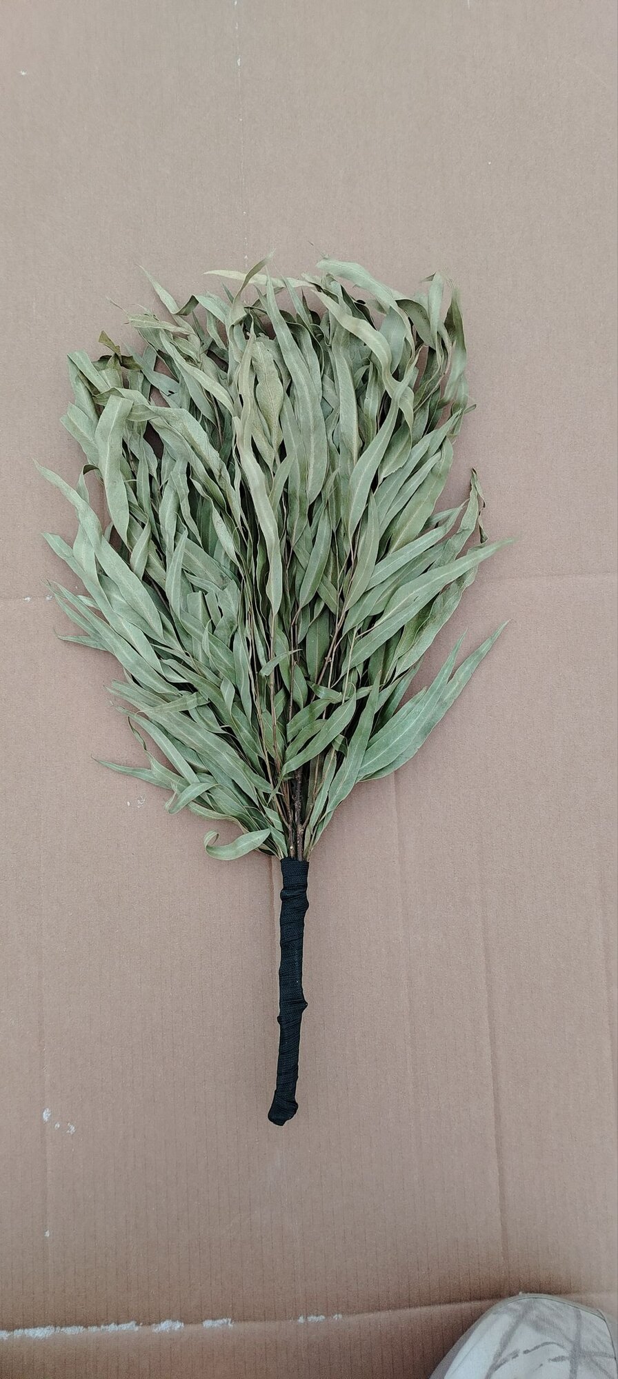 Веники для бани и сану Эвкалиптовый 1 шт с обмотанной ручкой