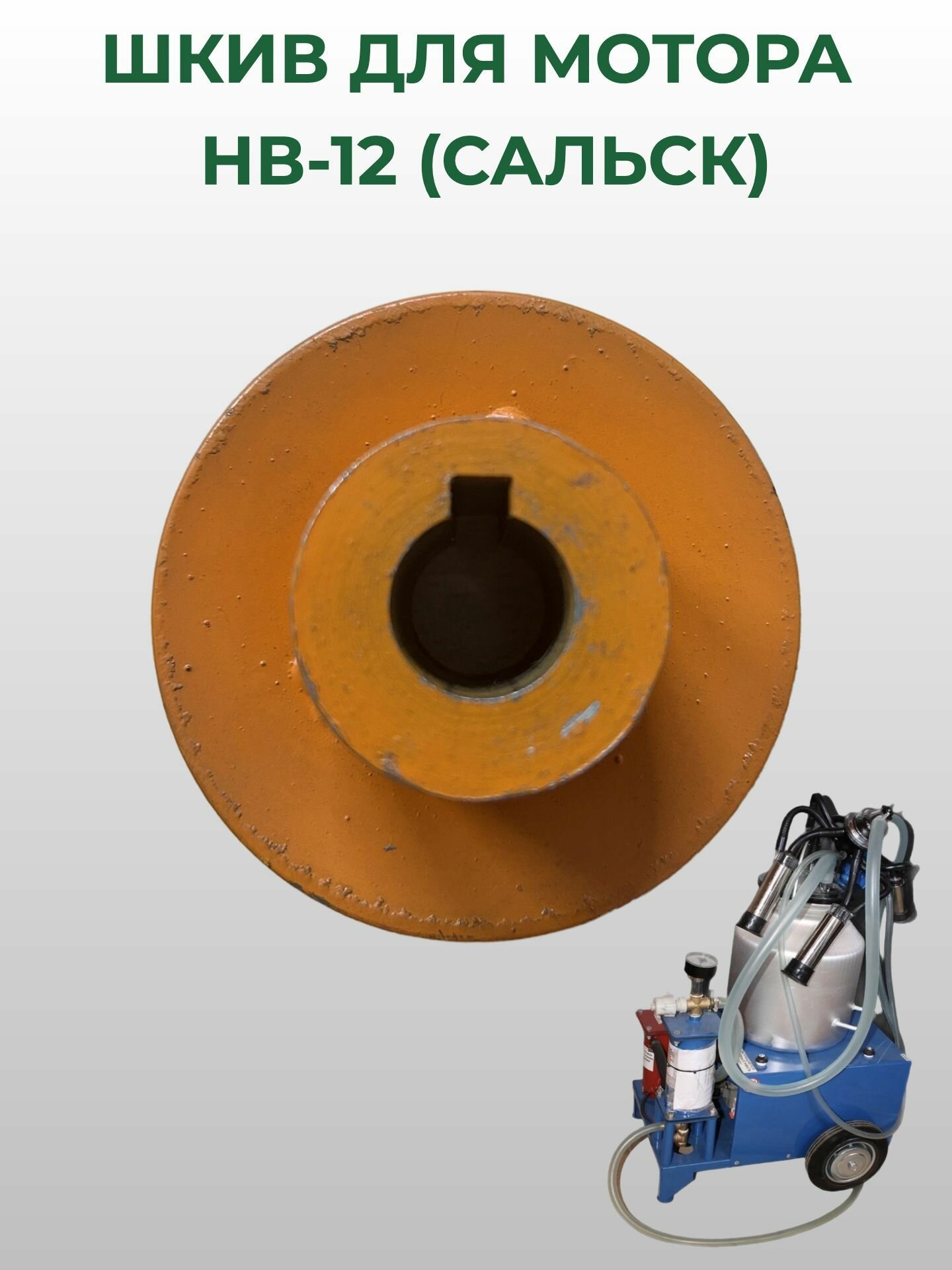 Шкив НВ-12 на мотор (Сальск)