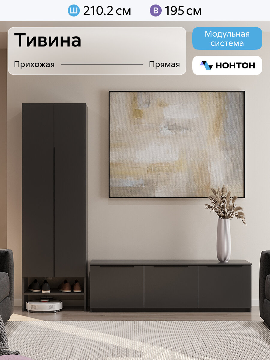 Стенка в прихожую Нонтон Тивина №6, 210x39x195 см, 2 модуля, графит серый