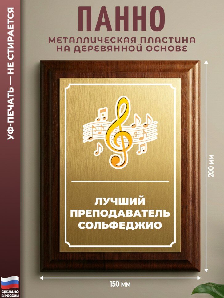 Настенный диплом "Лучший преподаватель сольфеджио"