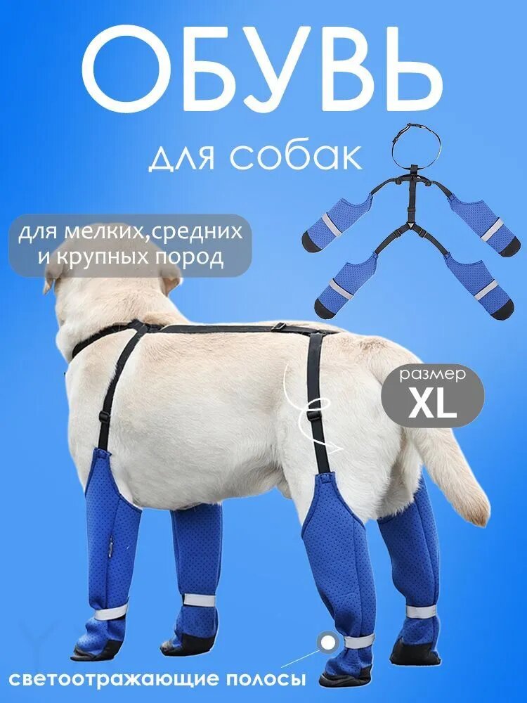 Обувь для собак, водонепроницаемый и устойчивый к падениям, синий, разме XL