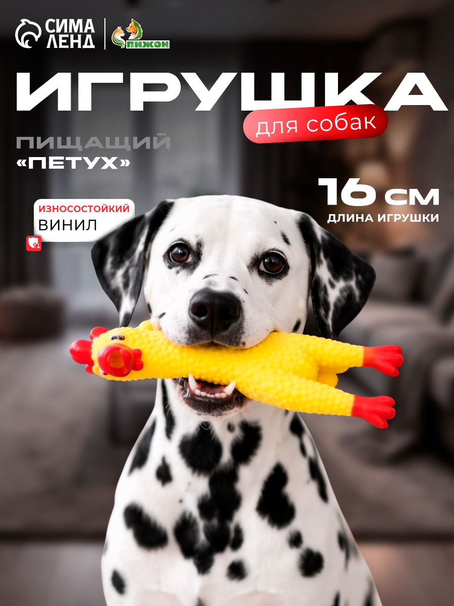 Игрушка пищащая "Петух", для собак, с пищалкой, яркий цвет, 16см