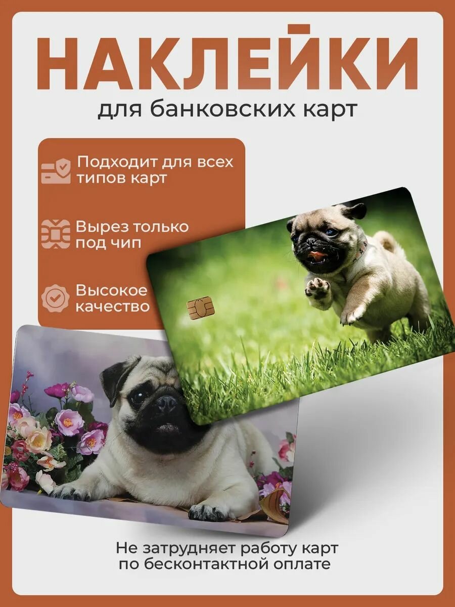 Наклейка на банковскую карту мопс