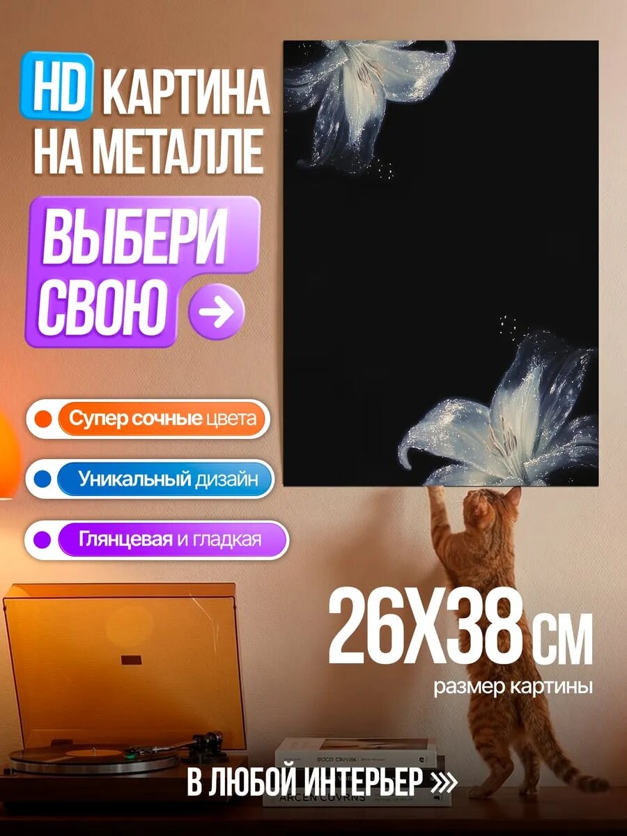 Картина на HD металле Белые цветы на черном
