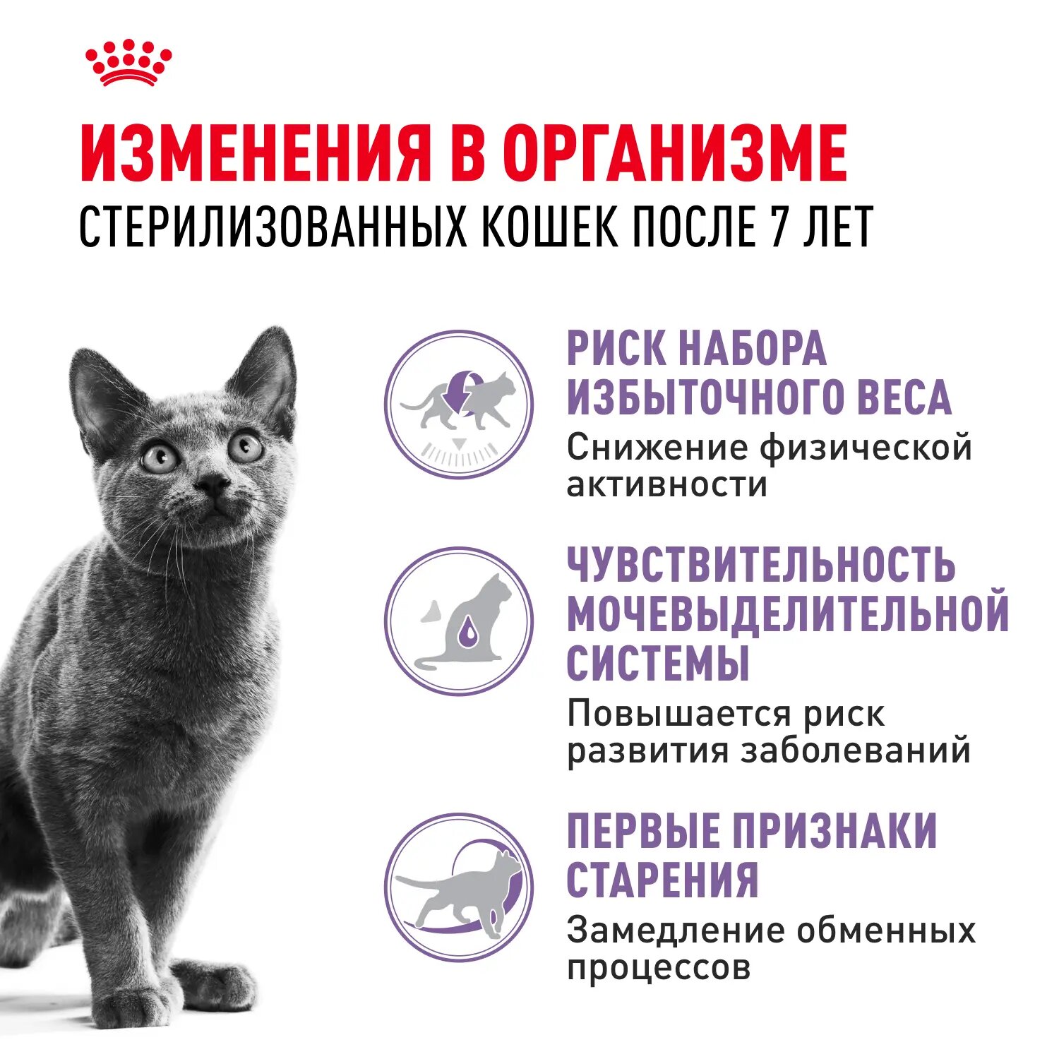 Royal Canin Sterilised 7+ Сухой корм для пожилых стерилизованных кошек 7-12 лет, 400 г