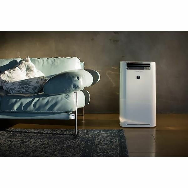 Рециркулятор воздуха Sharp KCG61RW — фото 1