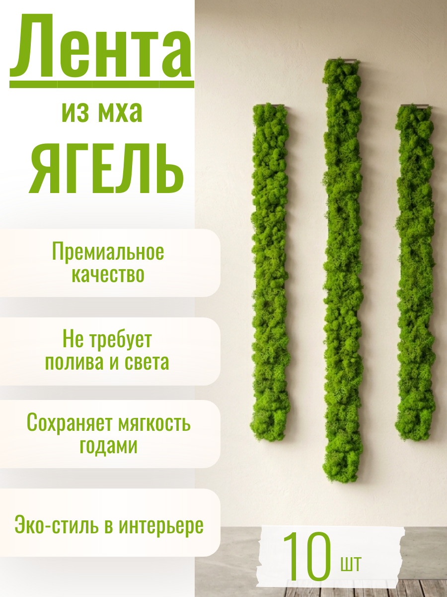 Лента из стабилизированного мха на скотче 4х60 см 10шт в комплекте