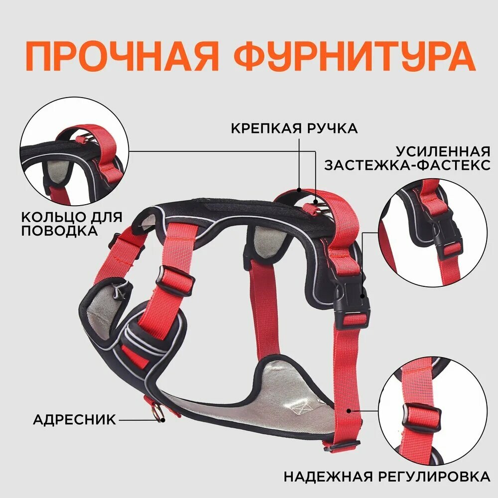 Шлейка — фото 1