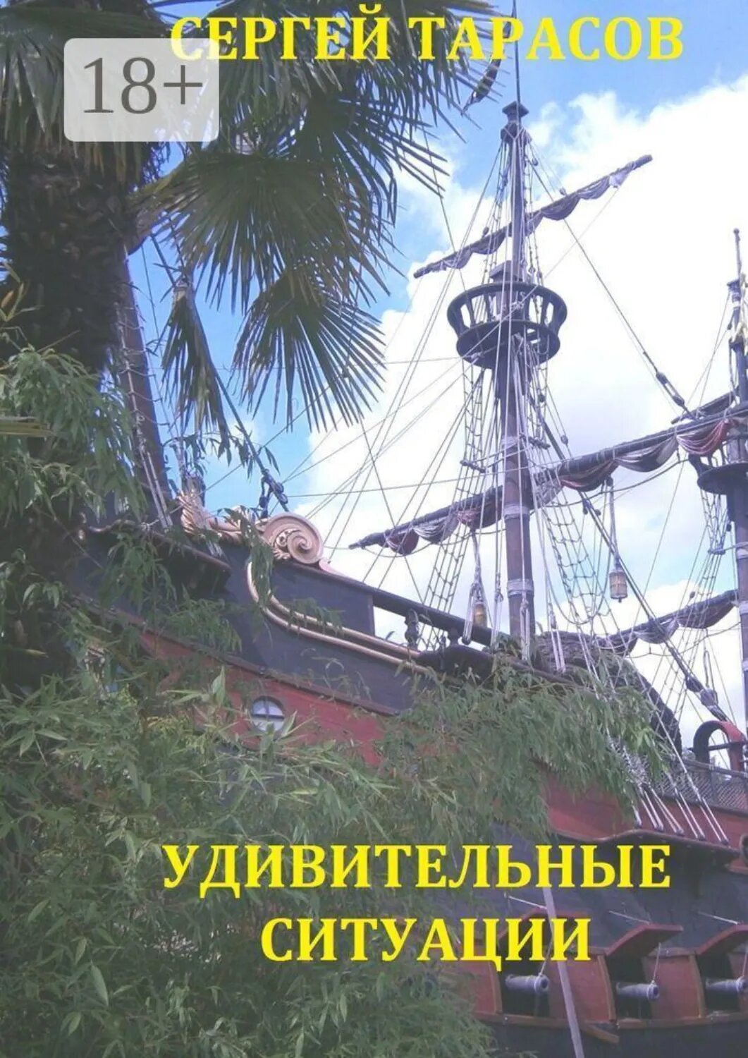 Удивительные ситуации [Цифровая книга]