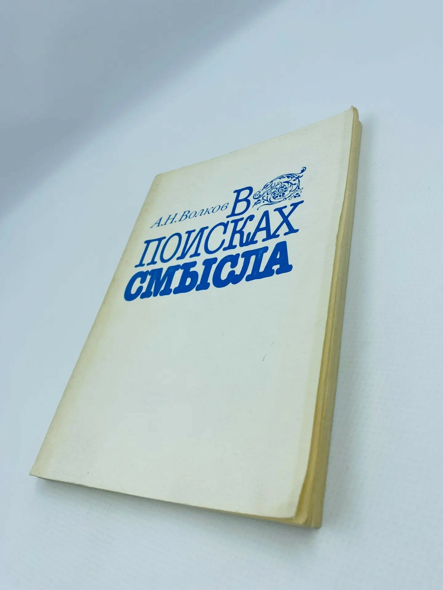 В поисках смысла — фото 1