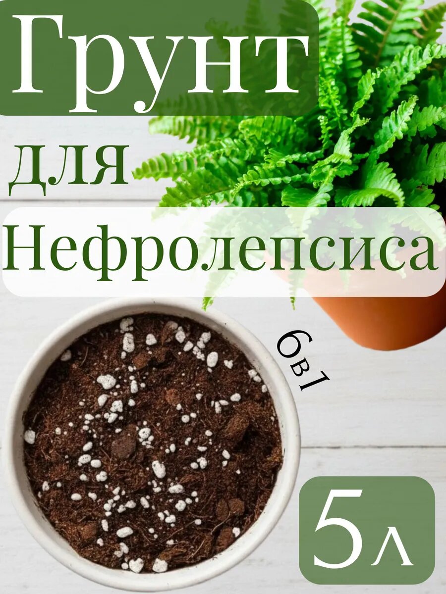 Готовый грунт для Нефролепсиса 5 литров