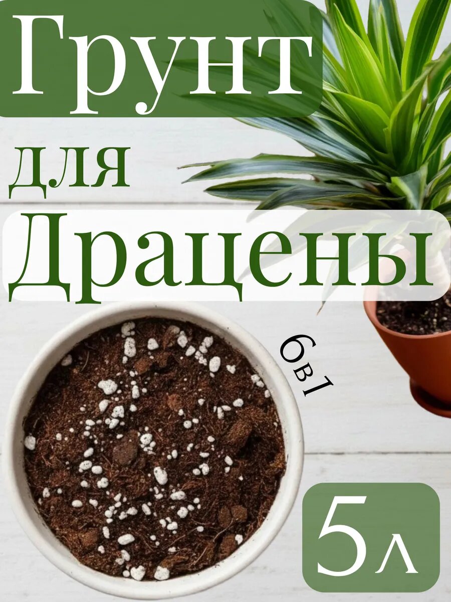 Готовый грунт для Драцены 5 литров