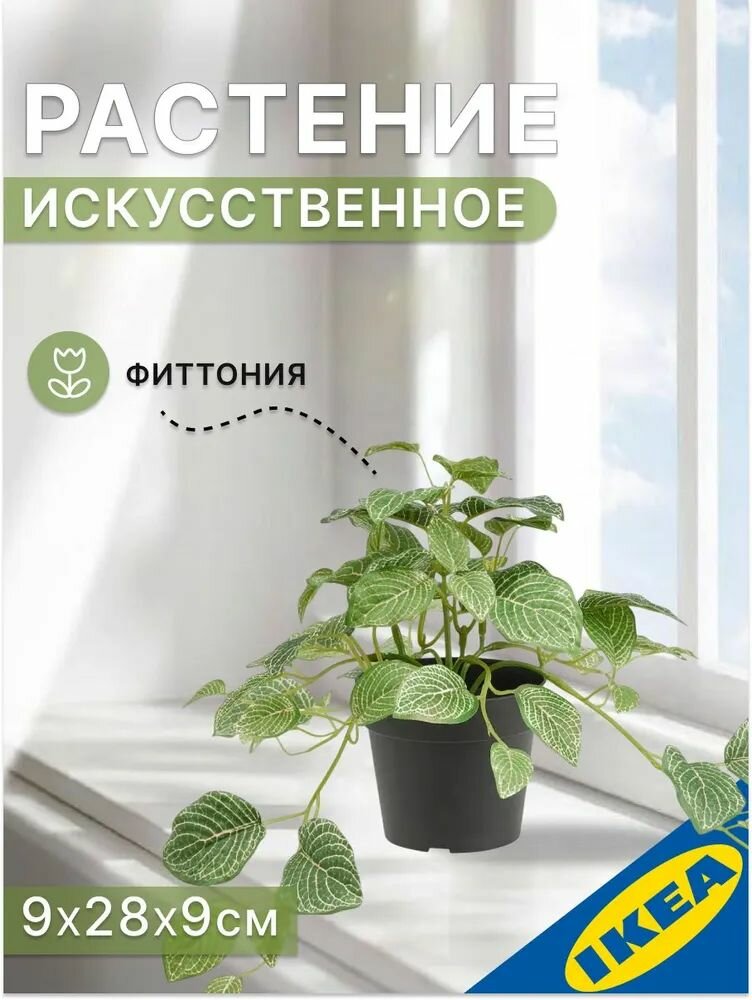 Искусственное растение в горшке Фиттония 9х28х9 см подвесное зелёный IKEA FEJKA фейка