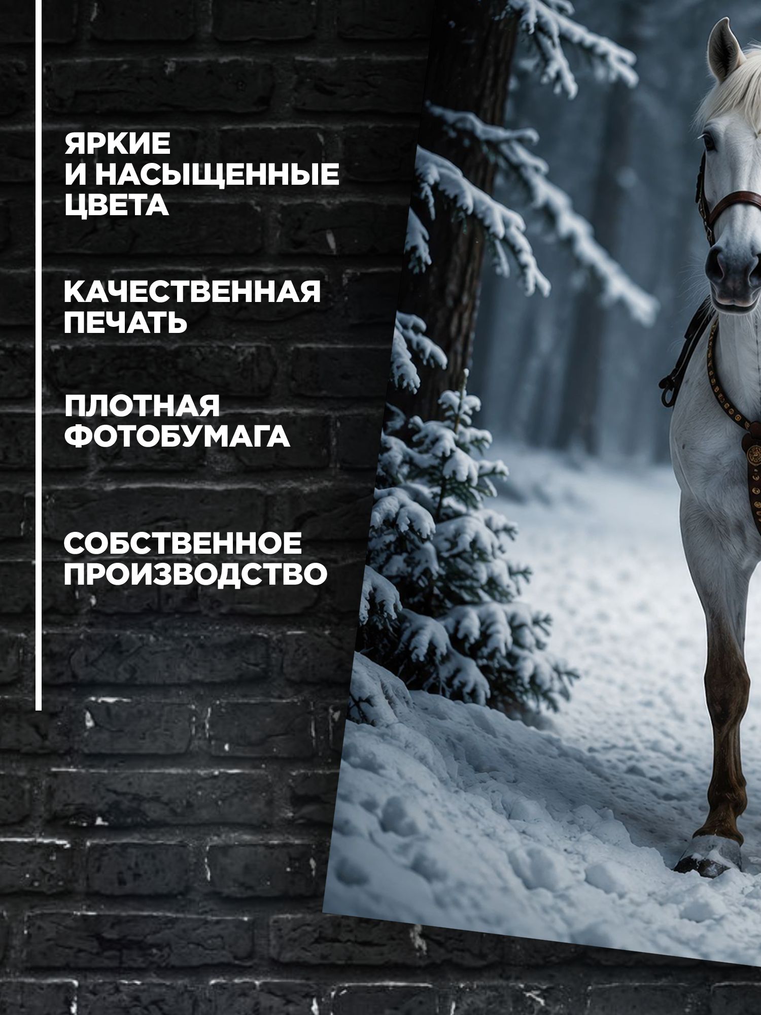 Постер на стену Лошадь — фото 1