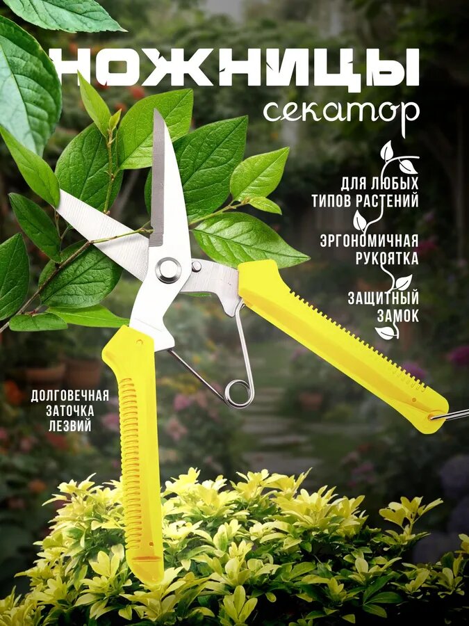 Садовые ножницы