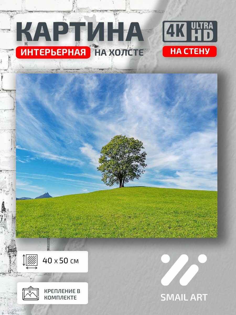 Картина на холсте интерьерная 40 на 50 на стену Небо Landscape для кабинета пейзаж интерьер