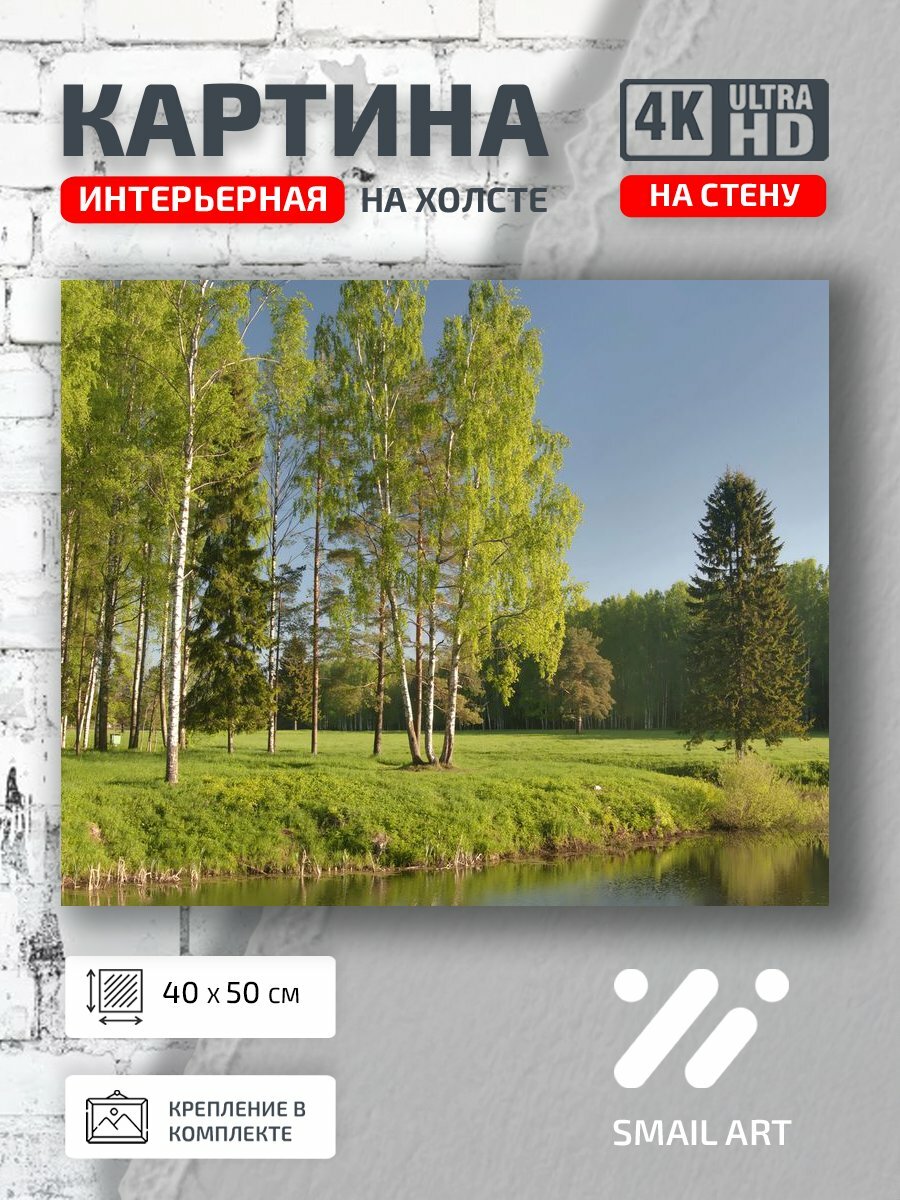 Картина на холсте интерьерная 40 на 50 на стену Лес Landscape для гостиной пейзаж интерьер