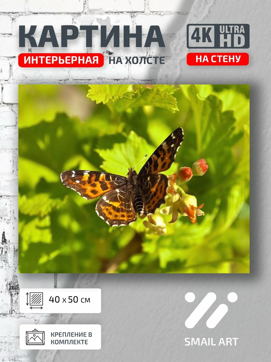Картина на холсте интерьерная 40 на 50 на стену Листья Mood для гостиной атмосфера интерьер