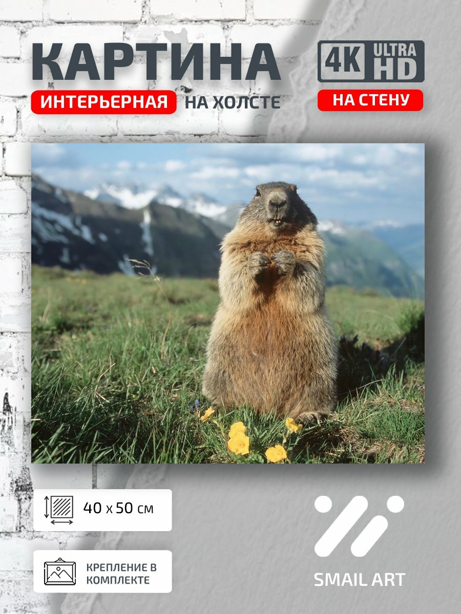 Картина на холсте интерьерная 40 на 50 на стену Выразительная Tauern для кабинета атмосфера